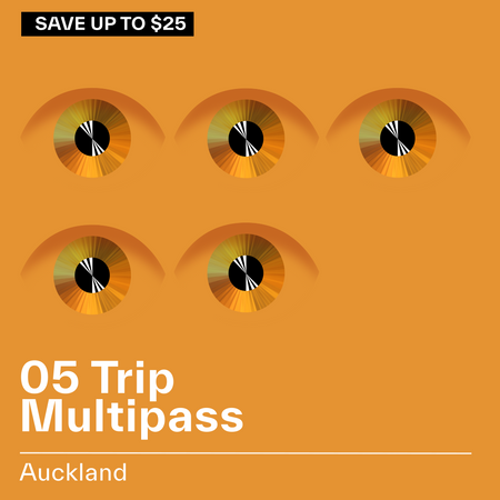 5-Trip Wellington – nziff